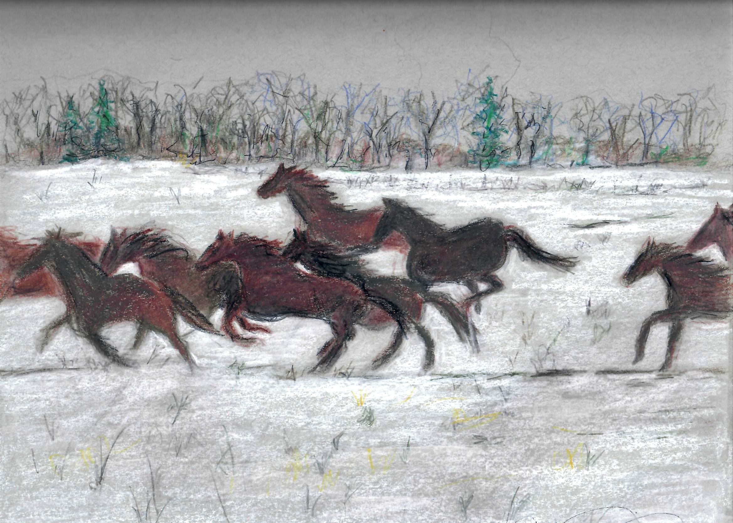 Free Play – dabbling dayz